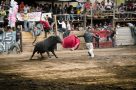 4 Bullfighting Festivals around the World | Toroshopping