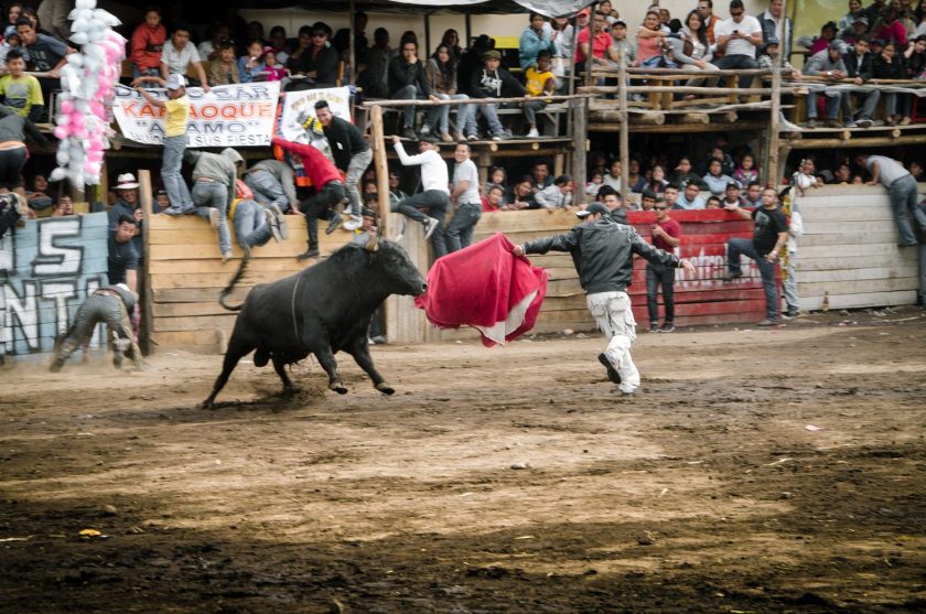 4 Bullfighting Festivals around the World | Toroshopping